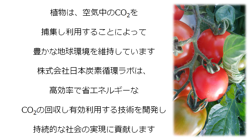 AboutUs2-3 | JCCL, Inc.